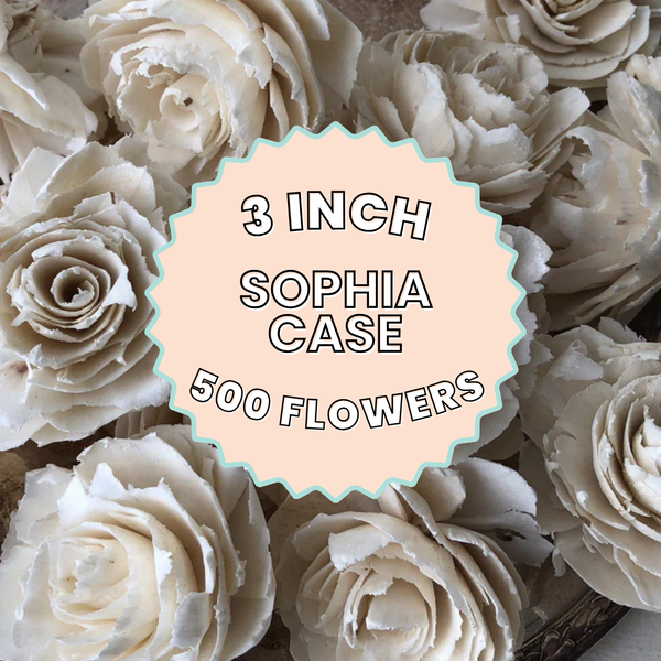 Lot 4618 Case of 3 inch Sophia Flowers - 500 flowers - Oh! You're ...