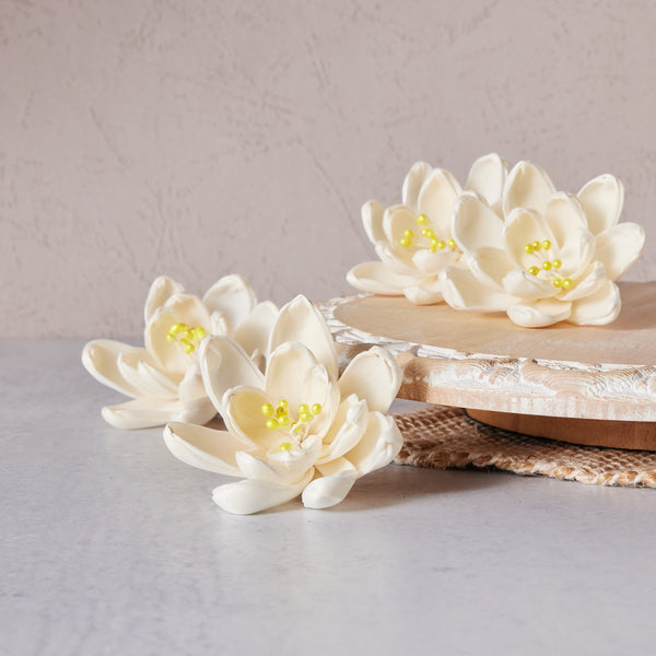 Little Cutie Wood Flower | Sola Wood Flowers | sold by the dozen - Oh ...