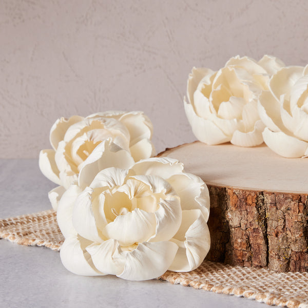 Sola Wood Flowers | The Duchess's Peony | Set of 6 - Oh! You're Lovely ...