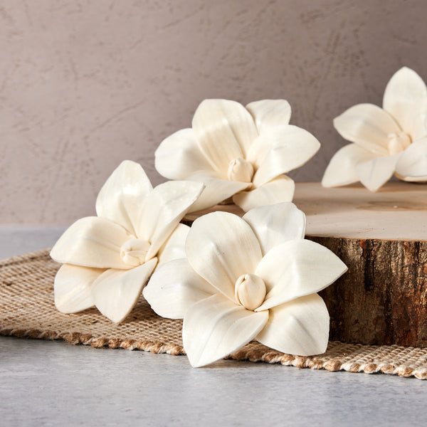 Sola Wood Flowers for DIY Weddings & Decor - Oh! You're Lovely - Sola ...