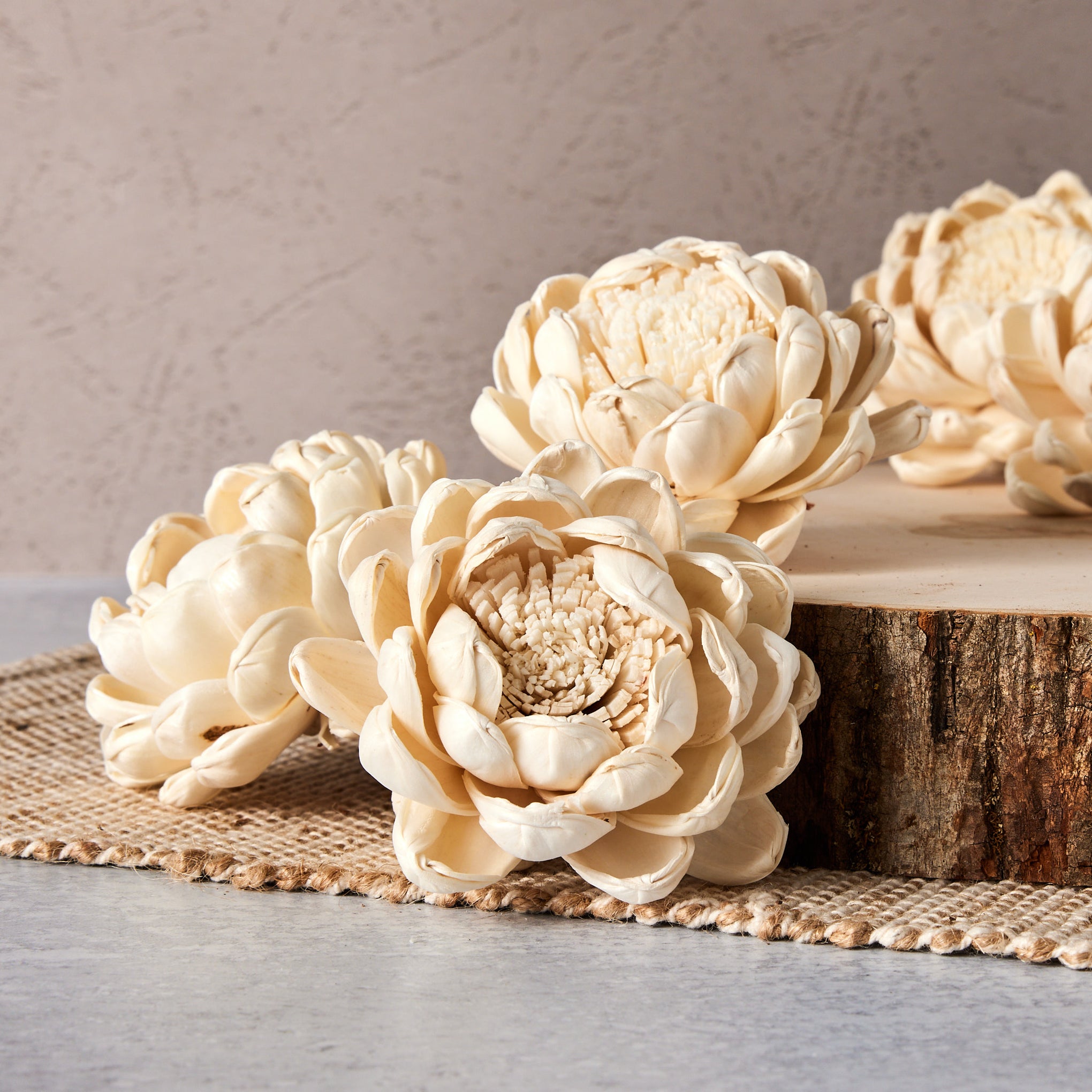 Wood Flower - Opal Flower - set of 12 - Oh! You're Lovely - Sola Wood ...