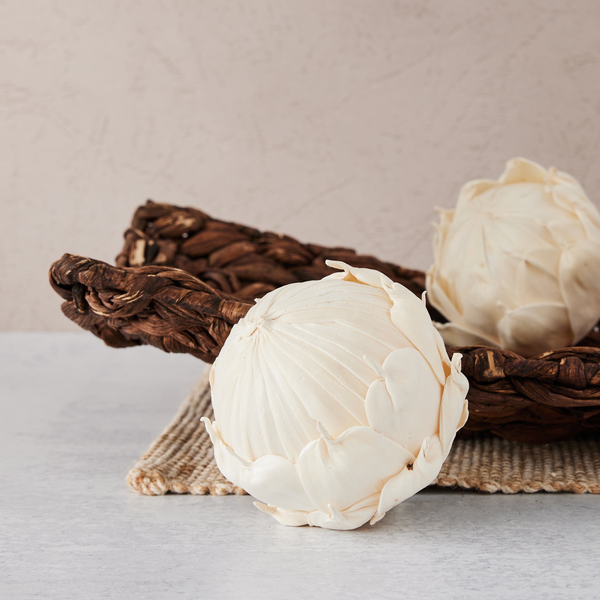 Protea Flower | Oh You're Lovely