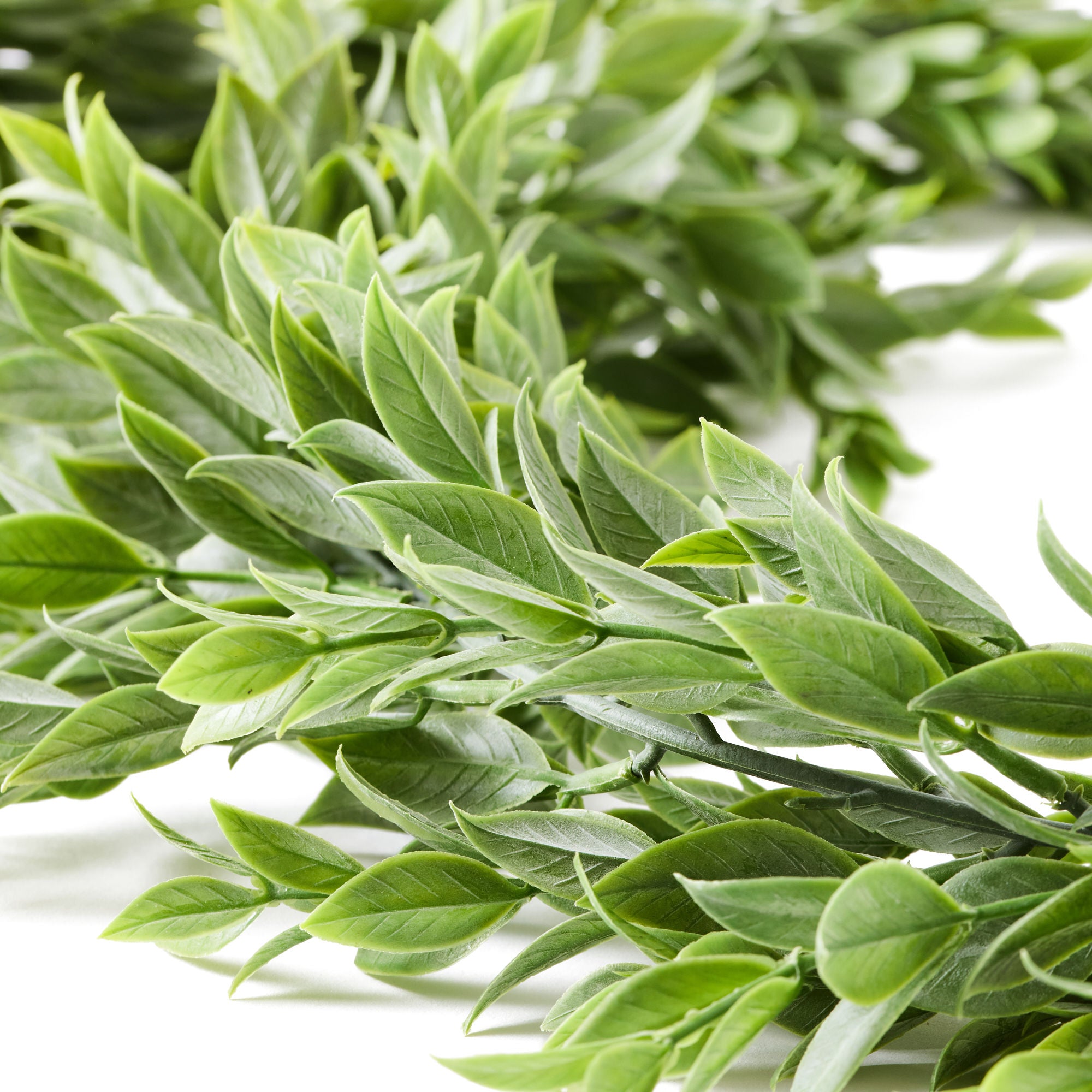 Large Ruscus Leaves- garland - 6 feet | Oh You're Lovely