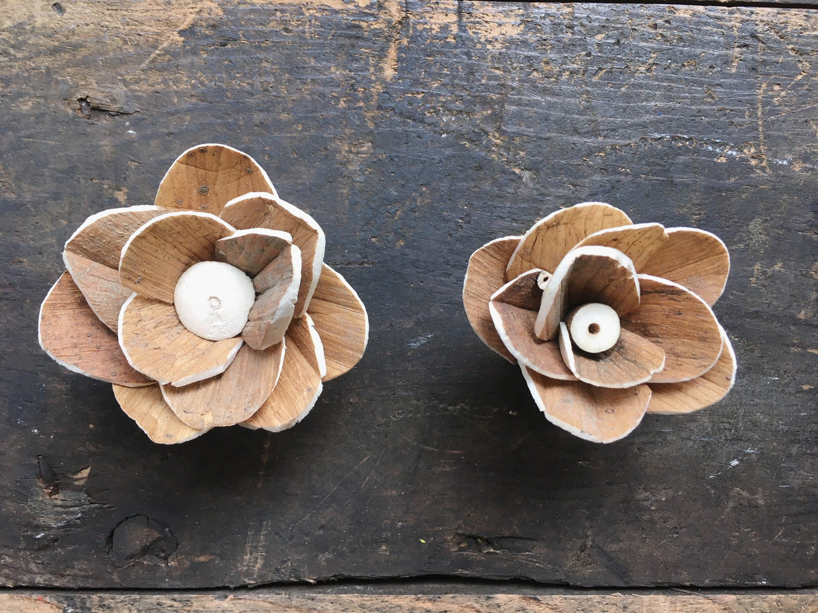 Cleo Flower - Sola Wood Flowers - sold by the dozen - Oh! You're Lovely ...