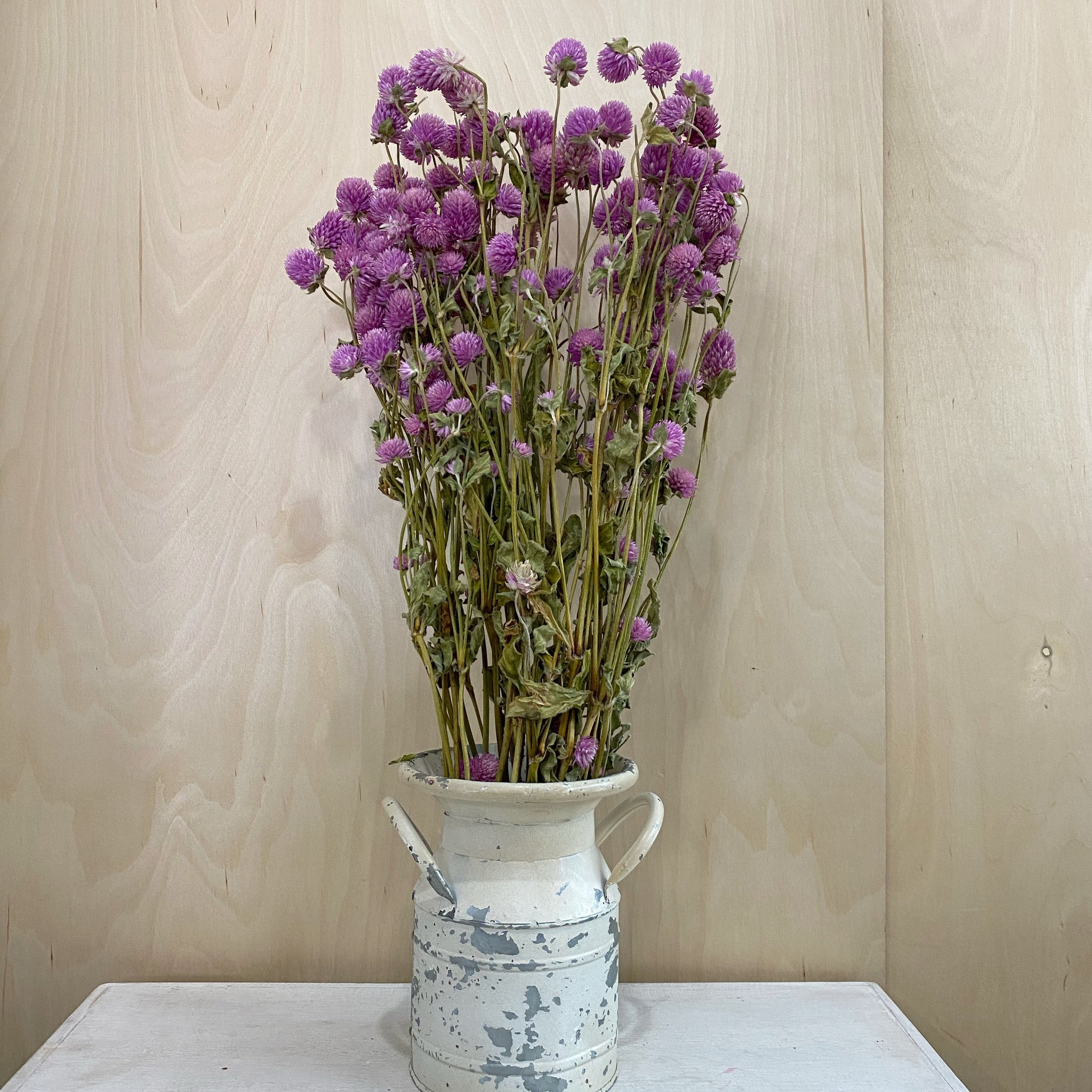 Dried/Preserved Greenery + Filler | Oh You're Lovely